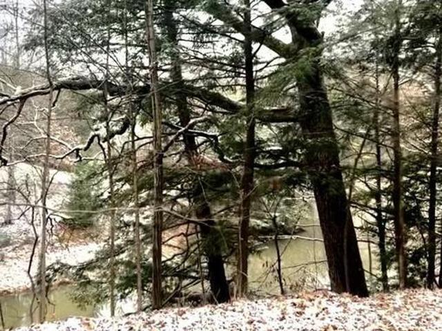 Coxsackie, Greene County, NY Undeveloped Land, Homesites for s.