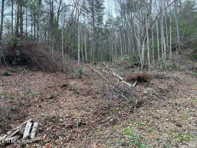 Coy Rhea Way Lot 3 D, Sevierville, TN 37876