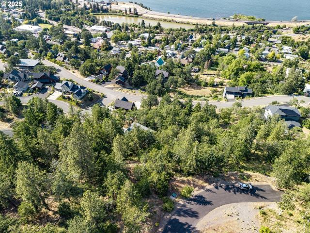 Coyote CT # Lot #44