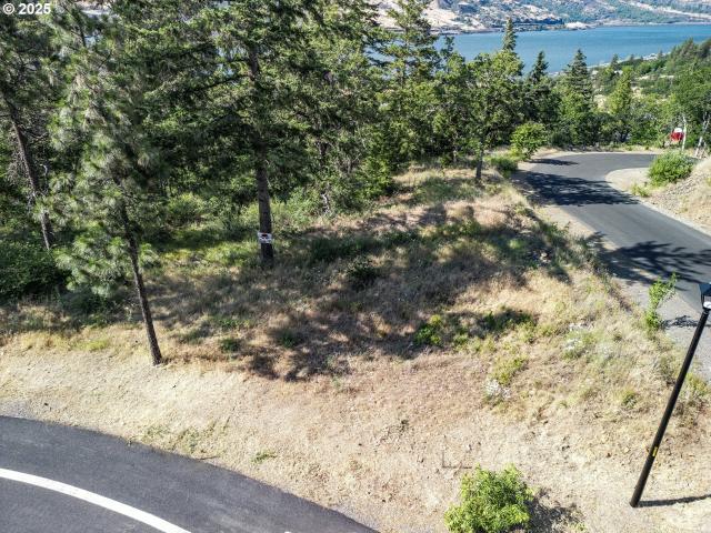 Coyote CT # Lot #42