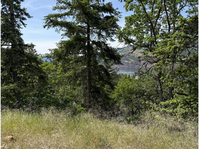 Coyote CT # Lot#43