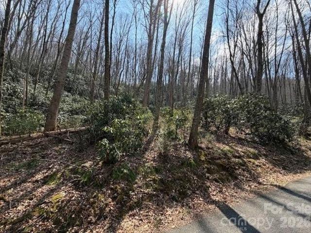 Coyote Hollow Rd Unit 66, Waynesville, NC 28785