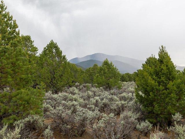 Coyote Rd, Questa, NM 57556