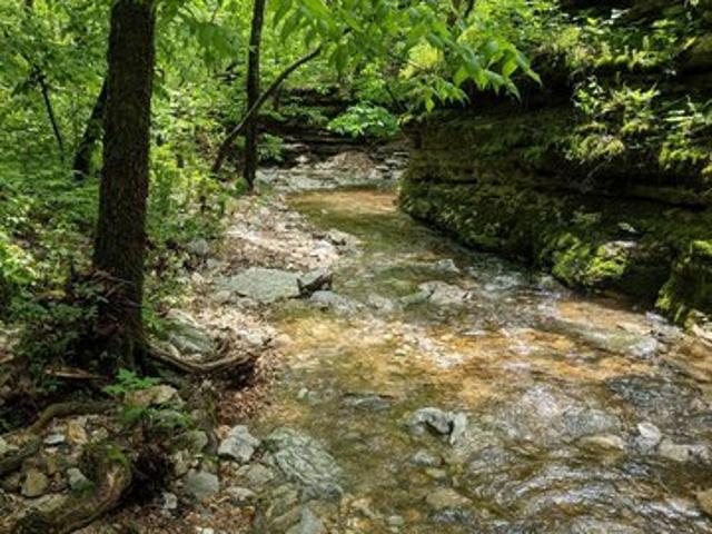 Coyote Ridge Rd, Cassville, MO 65625