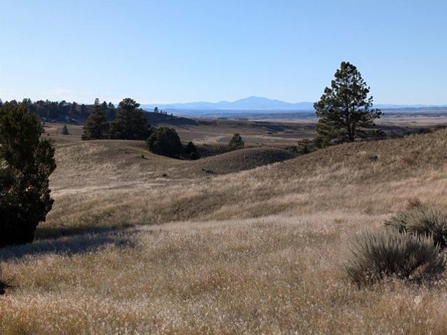 Coyote Trl Lot 147, Fort Laramie, WY 82212