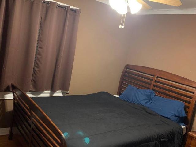 Cozy one bedroom for professional or student MALE