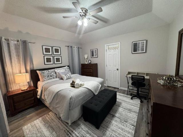 Cozy and spacious room for rent