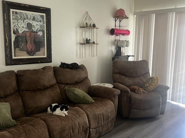 Cozy apartment