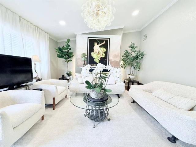 Cozy, Chic and Clean