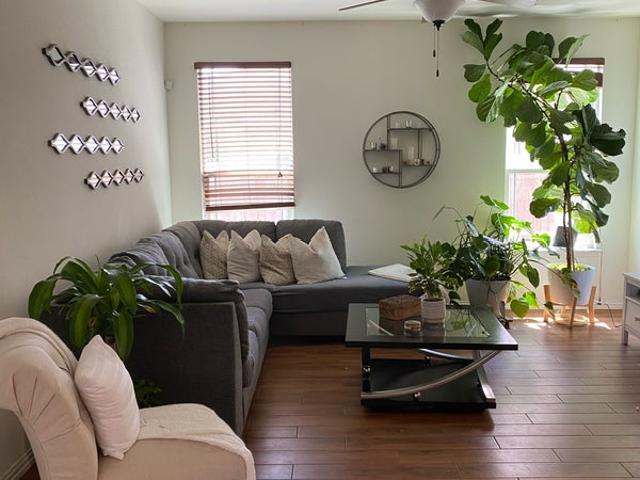 Cozy clean organized house