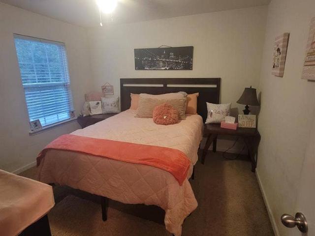 Cozy, clean, spacious home