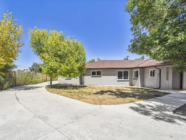 Cozy & comfy Denver House with spacious area