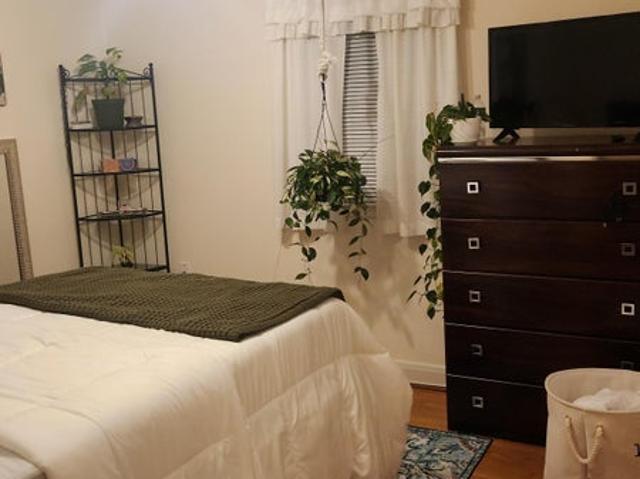 Cozy furnish room with no pets