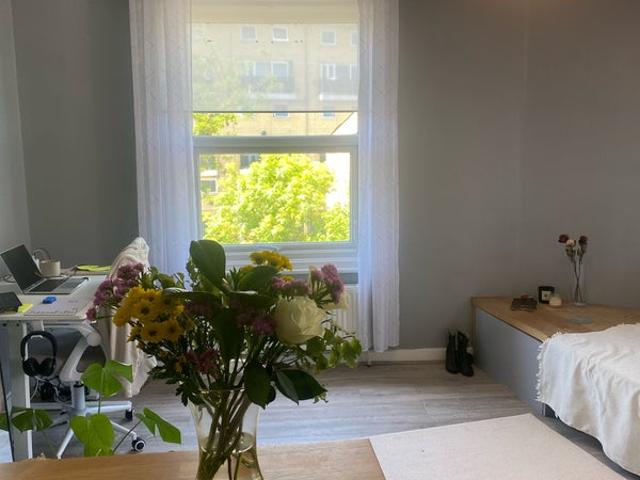 Cozy loft style 1 bed flat sublet for June
