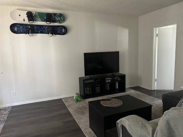 Cozy pet friendly furnished APT