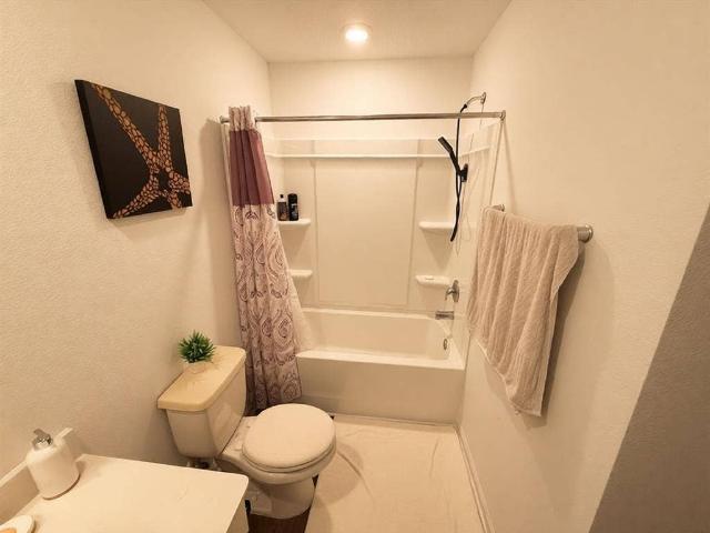Cozy room