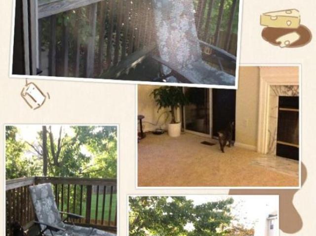 Cozy room for rent close to Nasa and 495