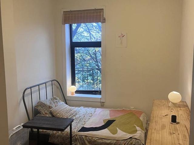 Cozy Room in Beautiful, Sunny Bed Stuy Apartment