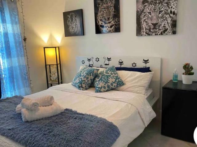 Cozy Room in Family Home for Responsible Male