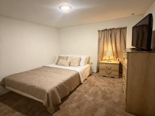 Cozy room in the south