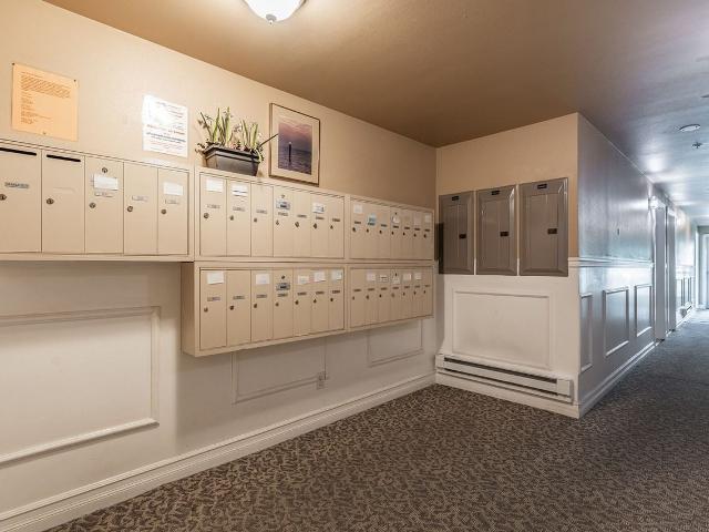 Cozy Studios in the U District Studio Apartment for Rent at 4047 8th Ave Ne, Seattle, WA 98105 University District
