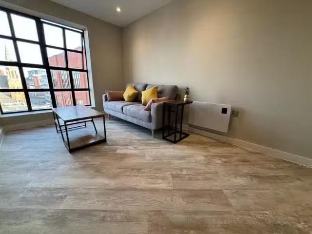 Cozy 1 BA 1 bedroom apartment for rent in Fountain Lofts, B12