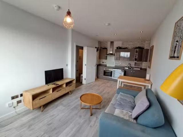 Cheap 1 BA 1 bedroom apartment for rent in Honduras Wharf, B19.