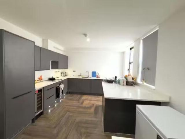 Cozy 1 BA 1 bedroom flat for rent in Bond Street, B19