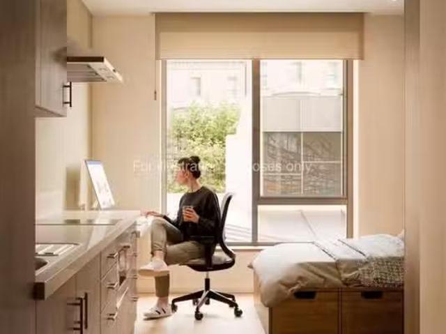 New 1 BA Studio flat for rent in Belfast Student September.