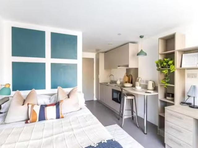 Nice 1 BA Studio flat for rent in Bristol Student September.
