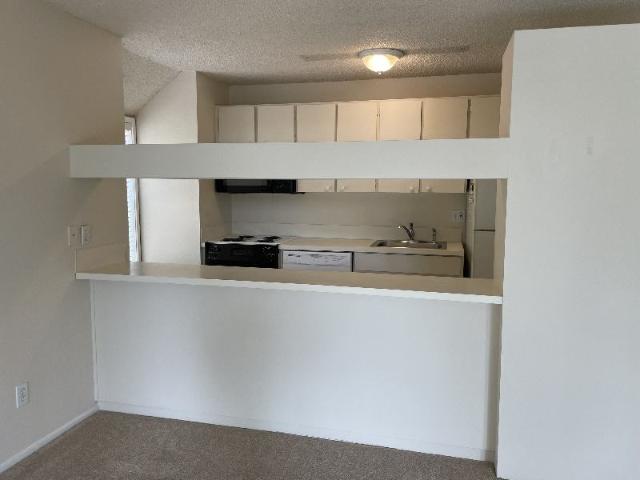 Cozy 1 Bed Bath Condo in Lake Oswego_$mo