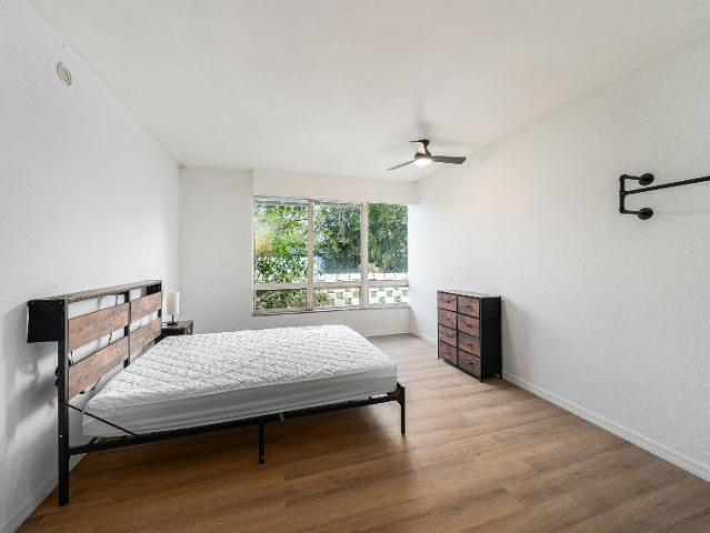 Cozy 1 Bed Bath Room in Tampa | Available 1 | $mo