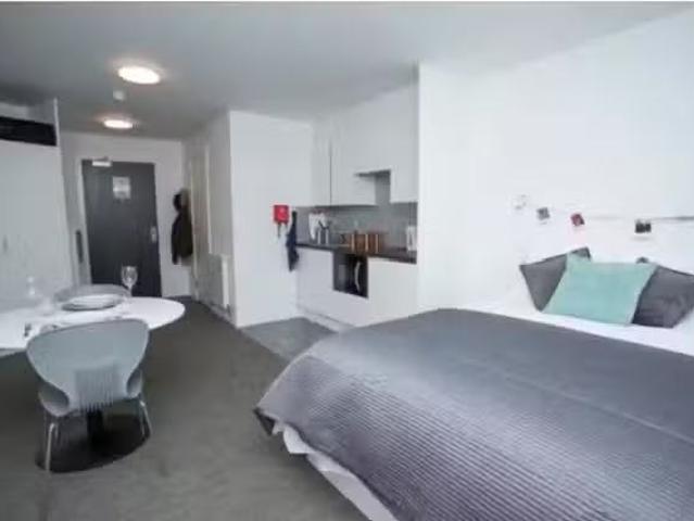 Nice 1 BR Luxe Studio
