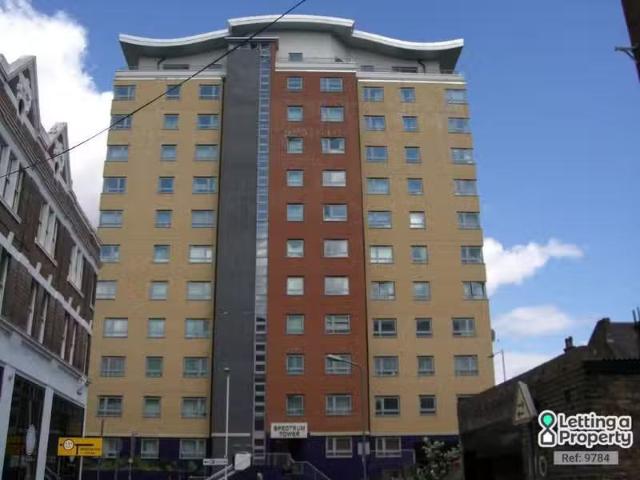 Unique 2 BA 2 bedroom apartment for rent in Hainault Street, I.