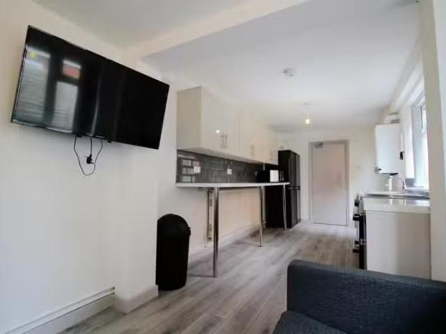 New 3 BA 5 bedroom house for rent in Harold Road D, Edgbasto.