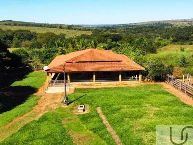 COZALZINHO GOIÁS FAZENDA