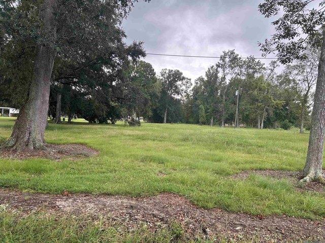 Clouatre Rd, Gonzales, LA 70737