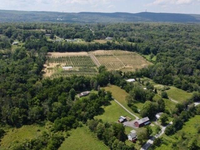 Clove Rd, Wantage Township, Home For Sale