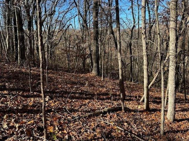 Clover Ln Lot 98, Rogers, AR 72756