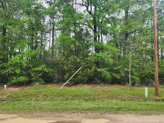 Cloverdale, Livingston, TX 77351