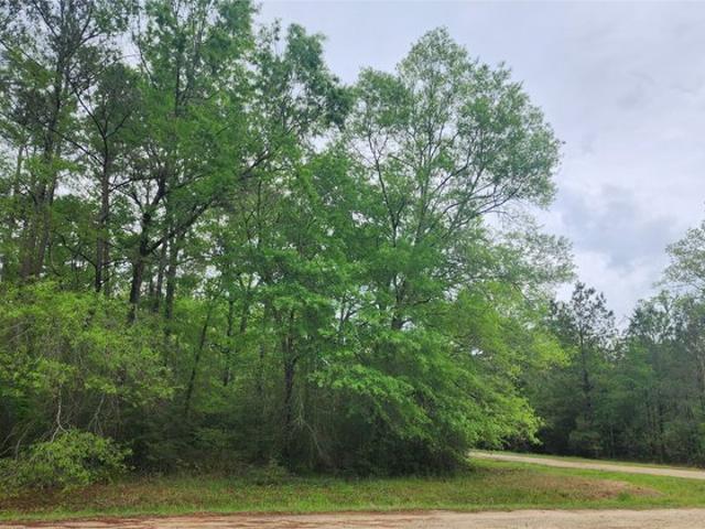 Cloverdale, Livingston, TX 77351