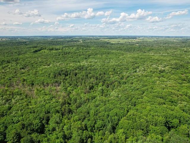 Cloverdale Rd, Thorp, WI 54771
