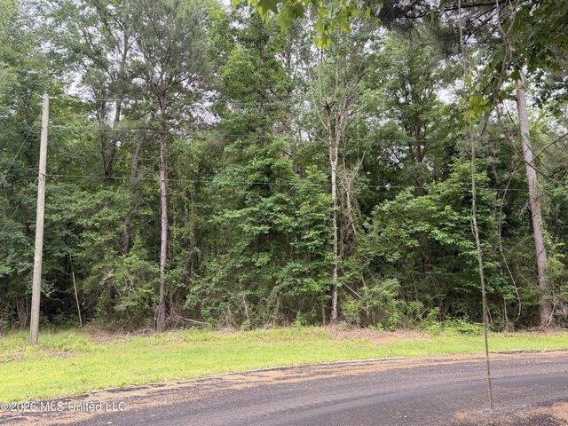 Claudette Ln, McComb, MS 39648
