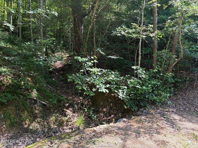 Claude Shields Way, Sevierville, TN 37876