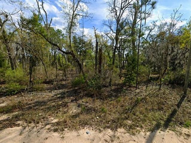 Claudia St, Interlachen, FL 32148