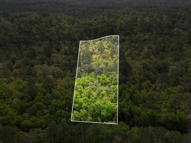 Clay Revell Rd, Sopchoppy, FL 32358