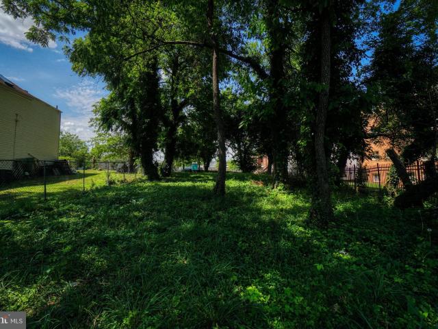 Clay St NE, Washington, DC 20019 | MLS #DCDC2037