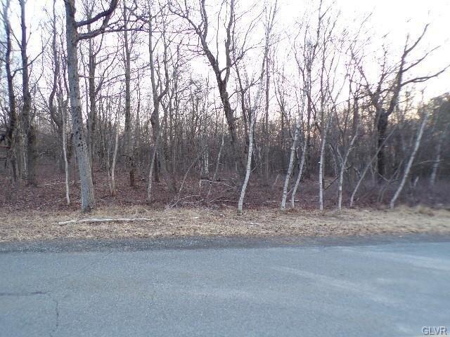 Claremont Drive, Lot 4403, Tunkhannock, PA 18210