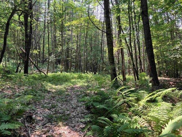 Claremont NH 03743 104835887
