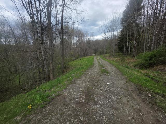 Clarence Church Road